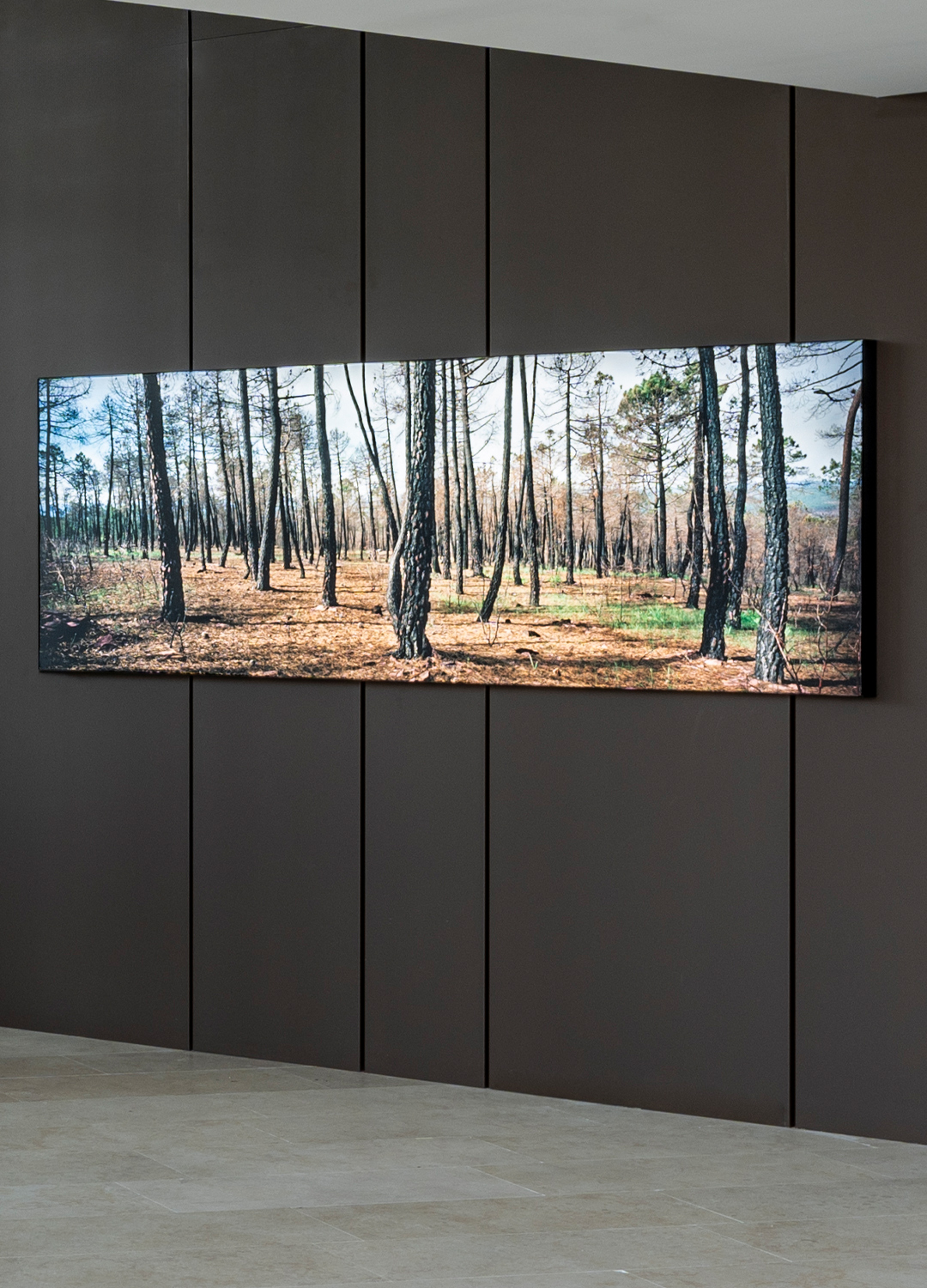 Nuevo Parador de Molina de Aragón | Paradores