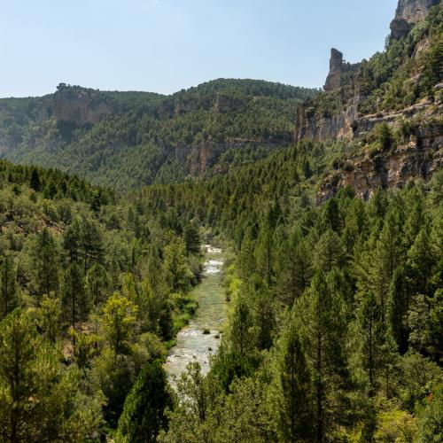 Nuevo Parador de Molina de Aragón | Paradores